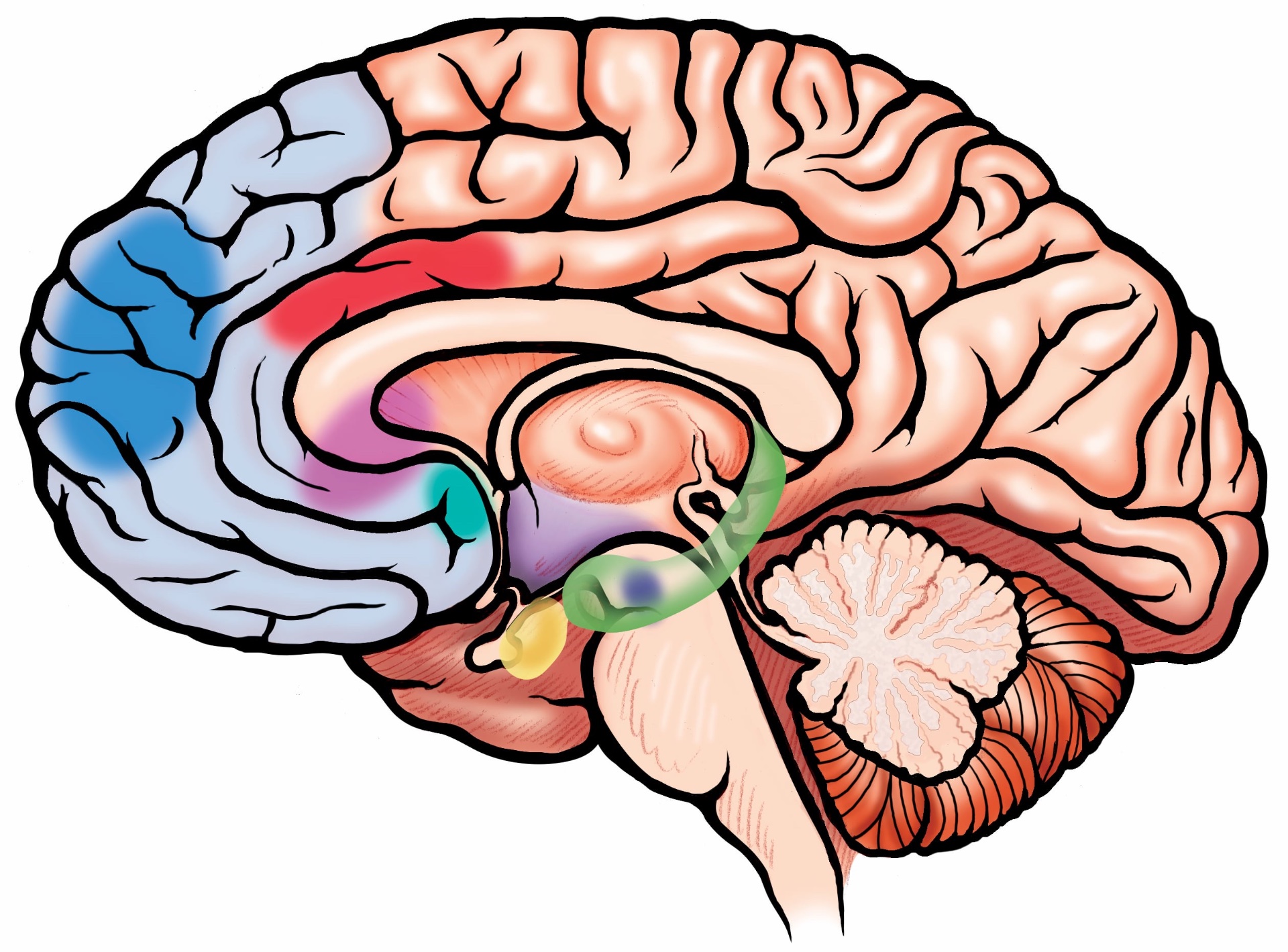 Quick Write Preview | NoRedInk