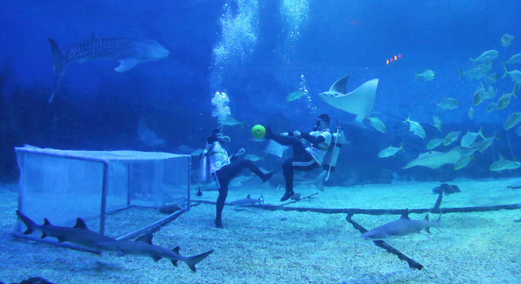 Quick Write Preview | NoRedInk